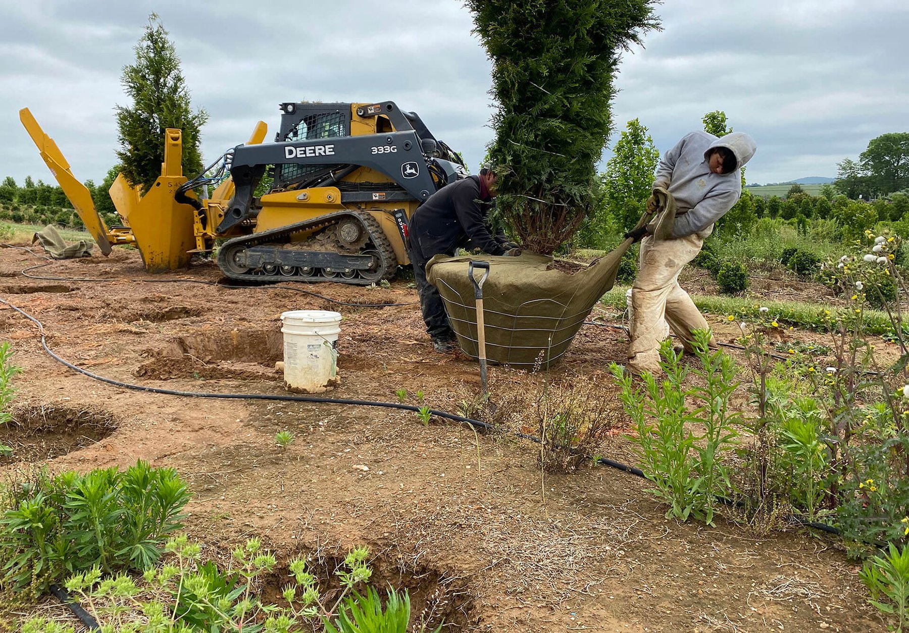 It's All in the Timing: Deliver Plants When It's Time to Dig